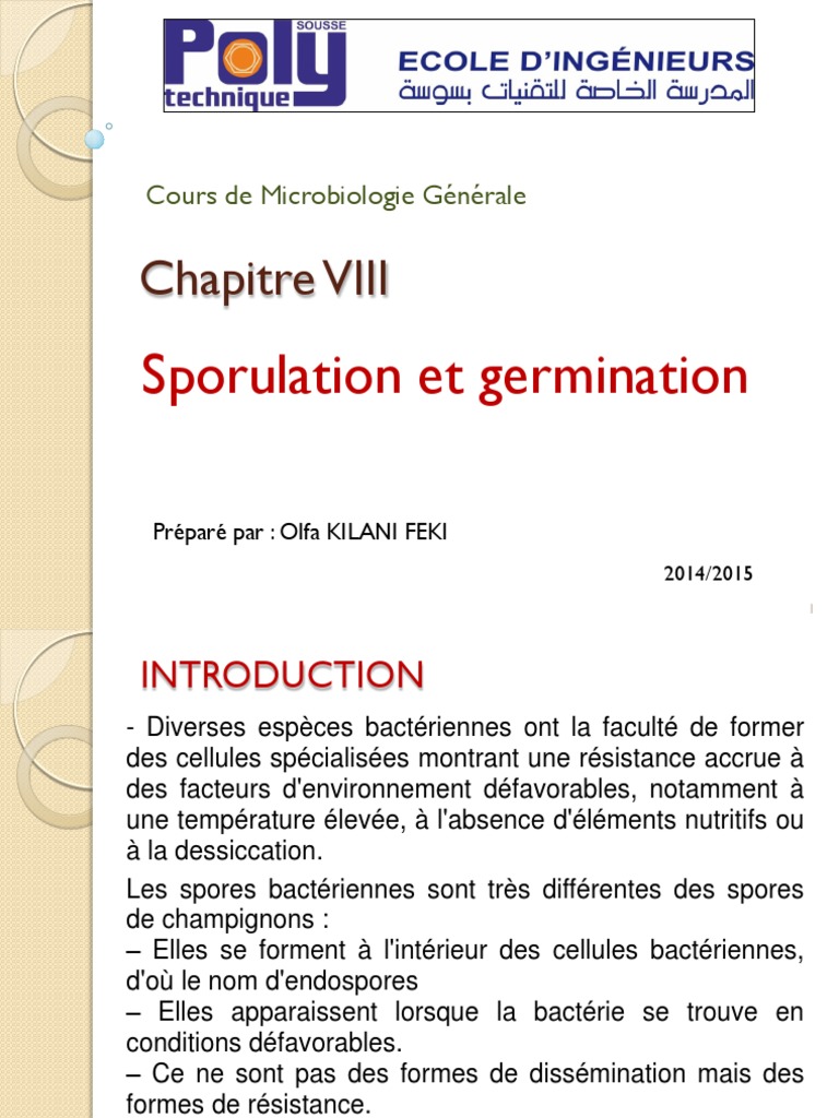 Sporulation et Germination Bactérienne | PDF | Spore | Biologie