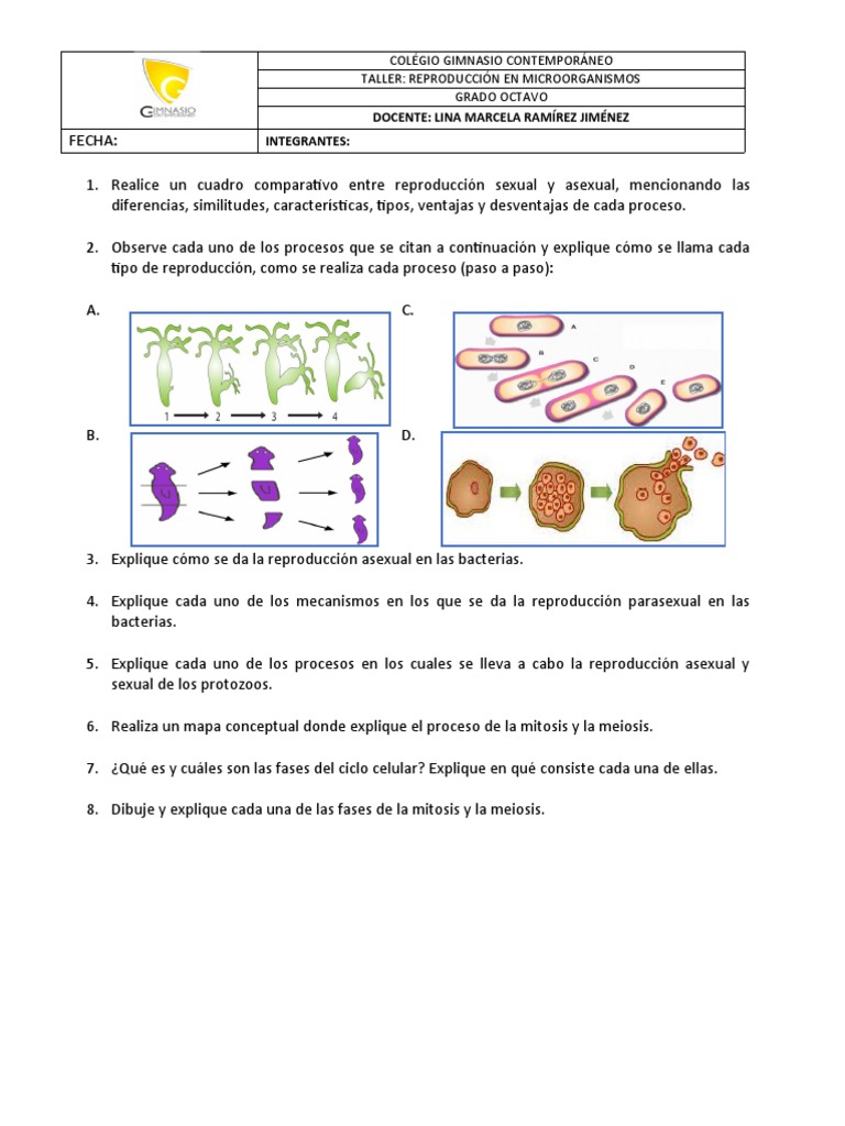 Taller Reproducci N Microorganismos | PDF