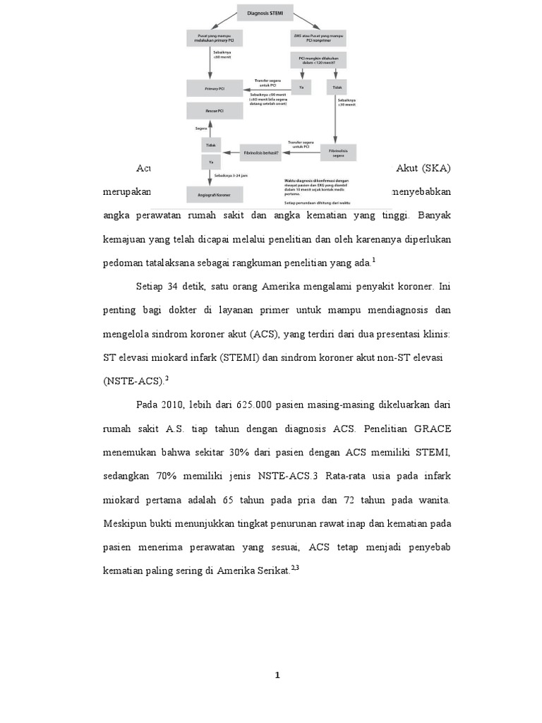 CSS-Khusna Wahyuni-ACS | PDF