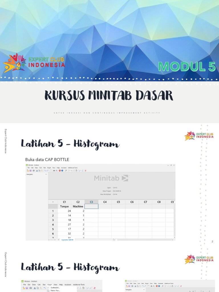 Histogram - Minitab 19 PDF | PDF | Histogram | Skewness