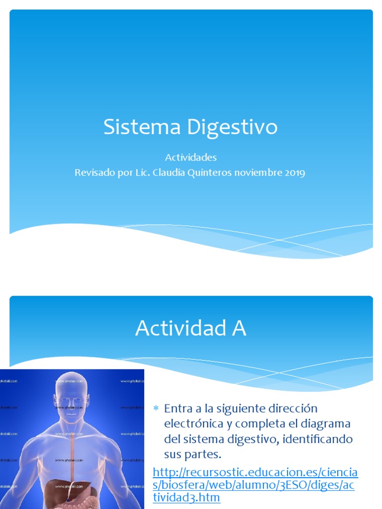 Sistema digestivo y excretor: actividades prácticas para su estudio ...
