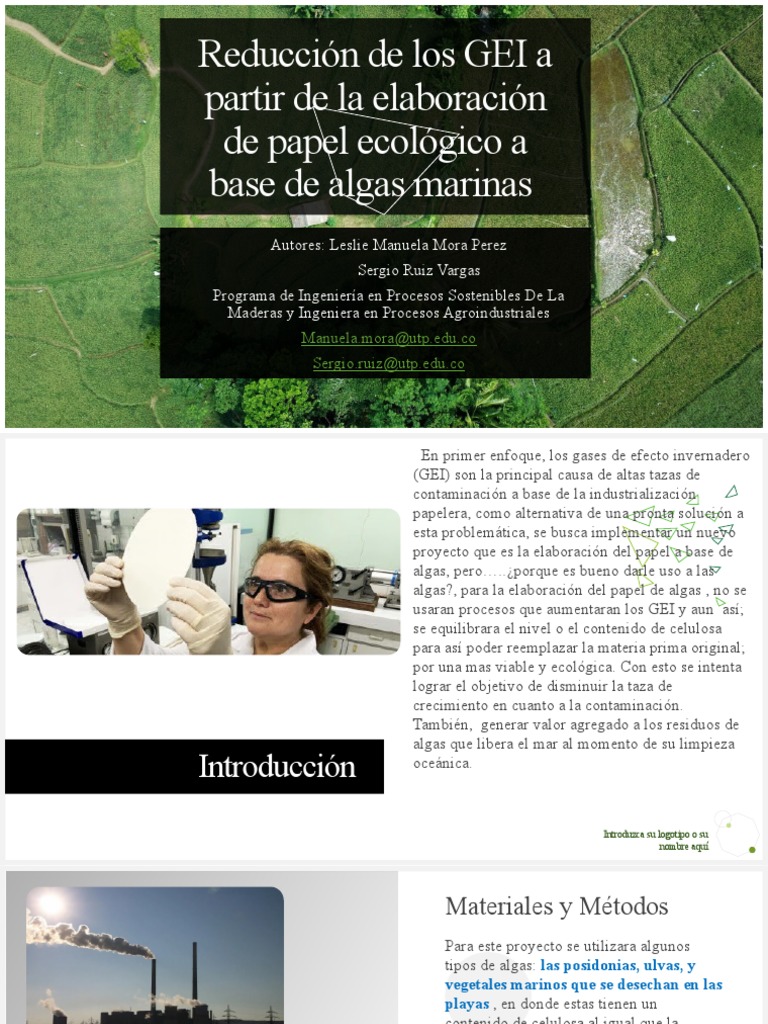 Producción de Papel Ecológico A Base de Algas Implementando Almidos Zwitterionico | PDF