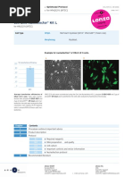 BOTANY RECORD MARCH 2025 FINAL | PDF | Botany | Plants