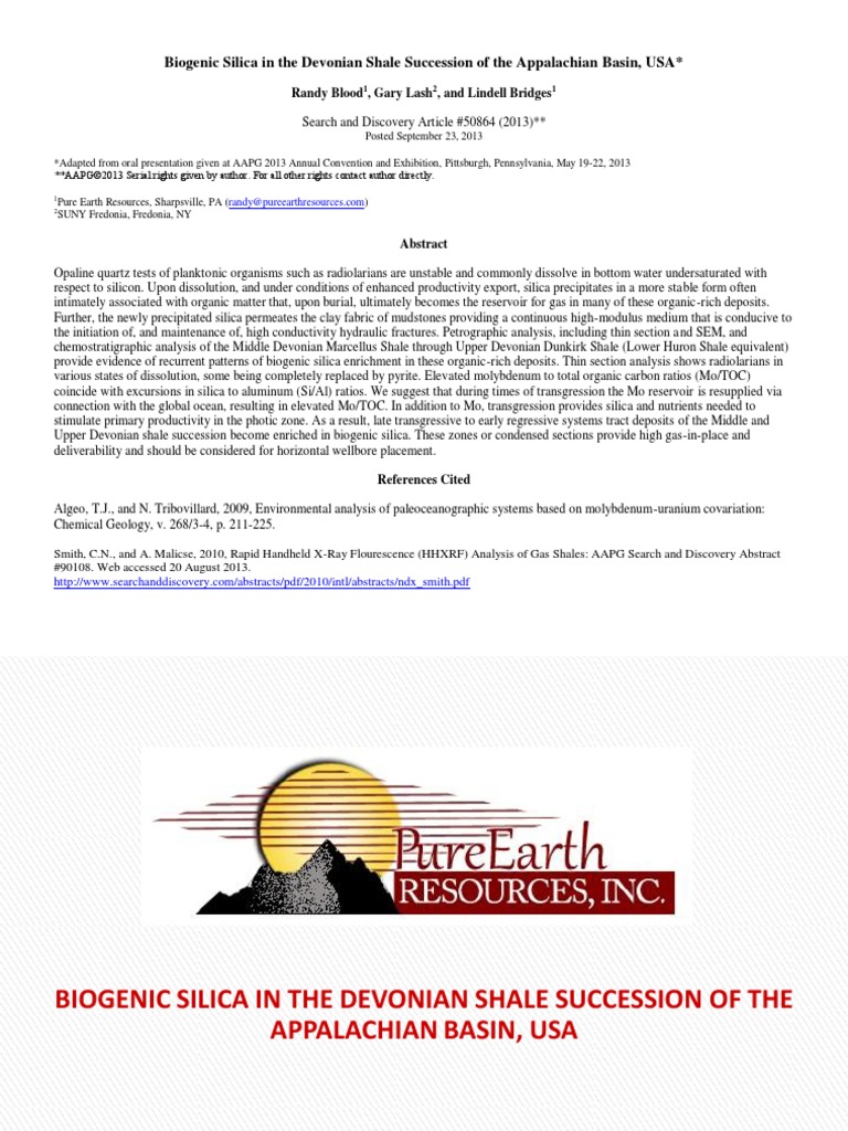 Blood Et Al. (2013) - Biogenic Silica in The Devonian Shale Succession ...