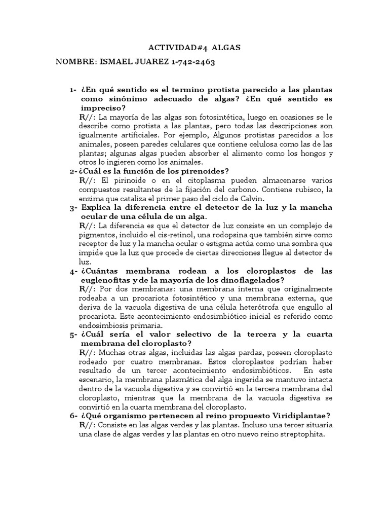 Activida #4 | PDF | Algas | Cloroplasto