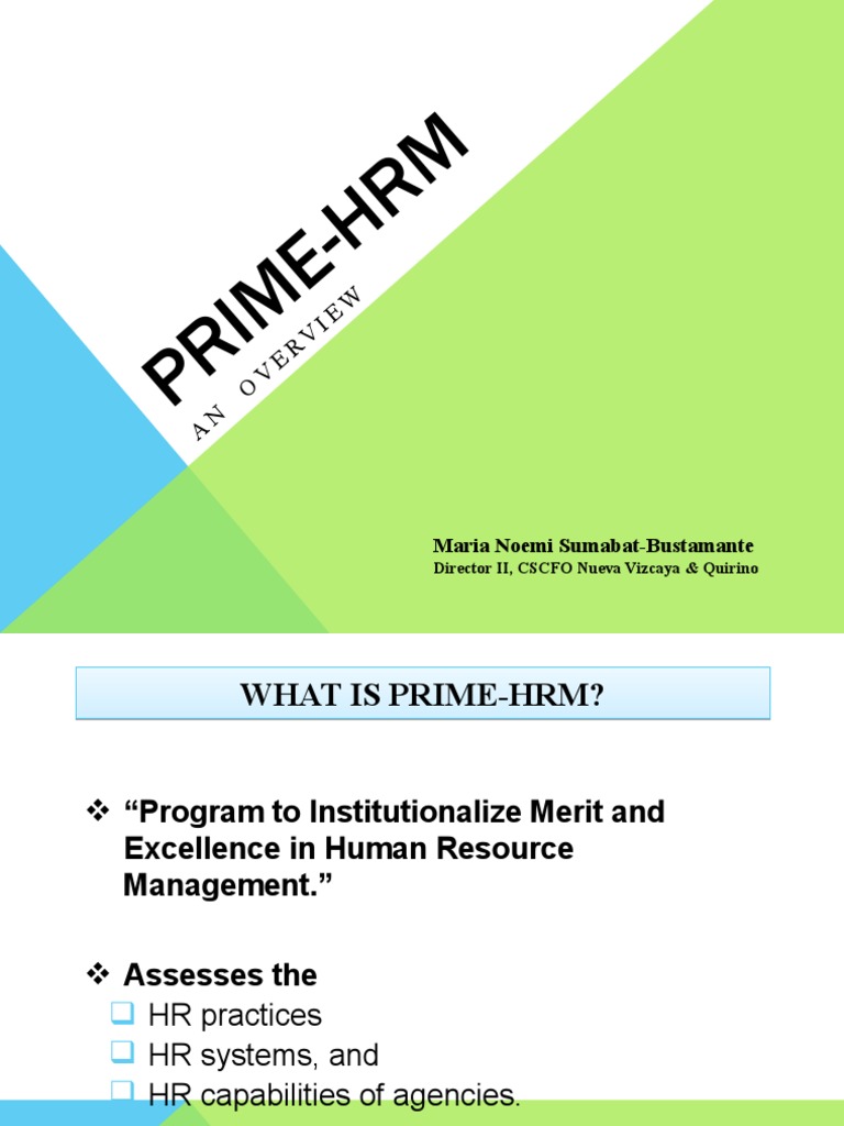 Overview of PRIME-HRM Program | PDF | Human Resource Management | Policy
