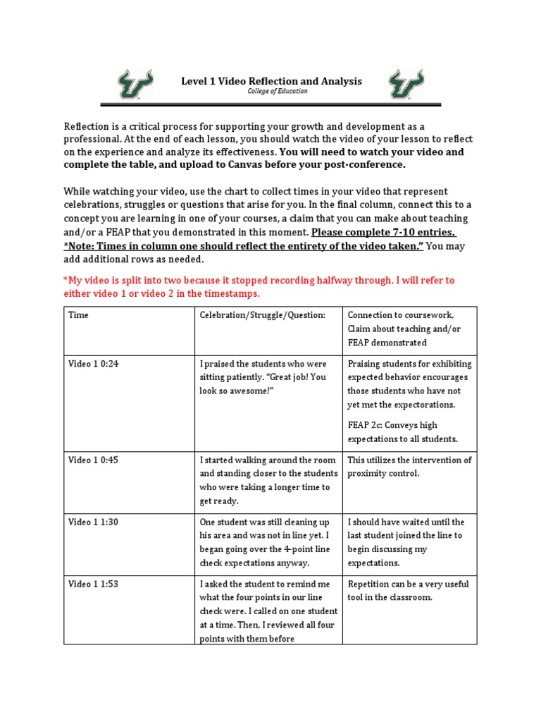 Ak CT Video Reflection Form | PDF | Teaching | Pedagogy