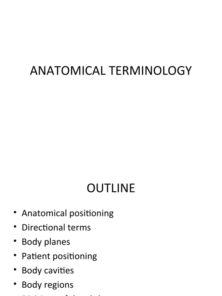 Anatomical Terminology and Positioning Guide | PDF | Anatomical Terms ...