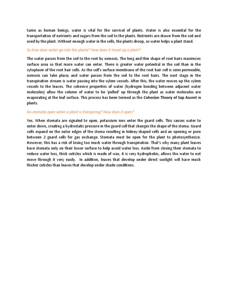 Plants: Questions | PDF