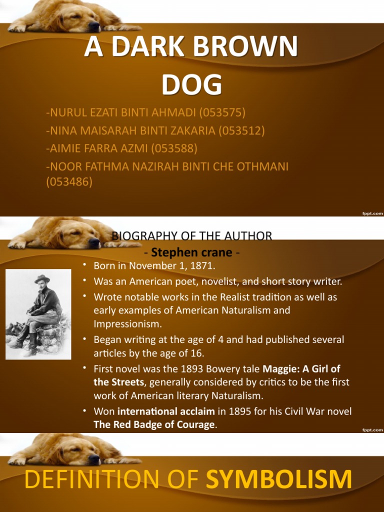 A Dark Brown Dog | PDF | Stephen Crane | Writing