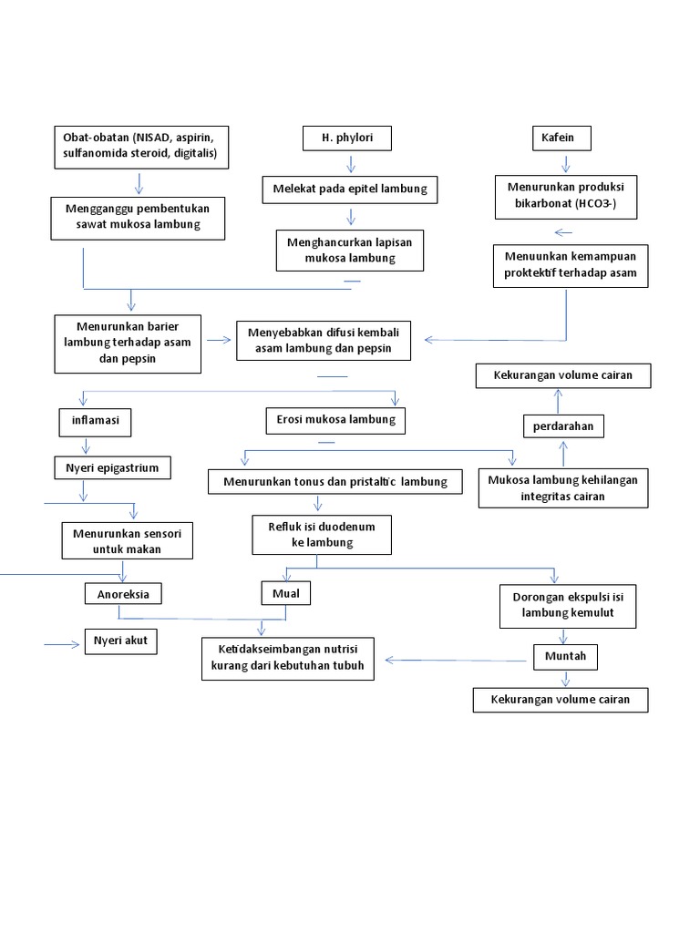 Pathway Gastritis | PDF