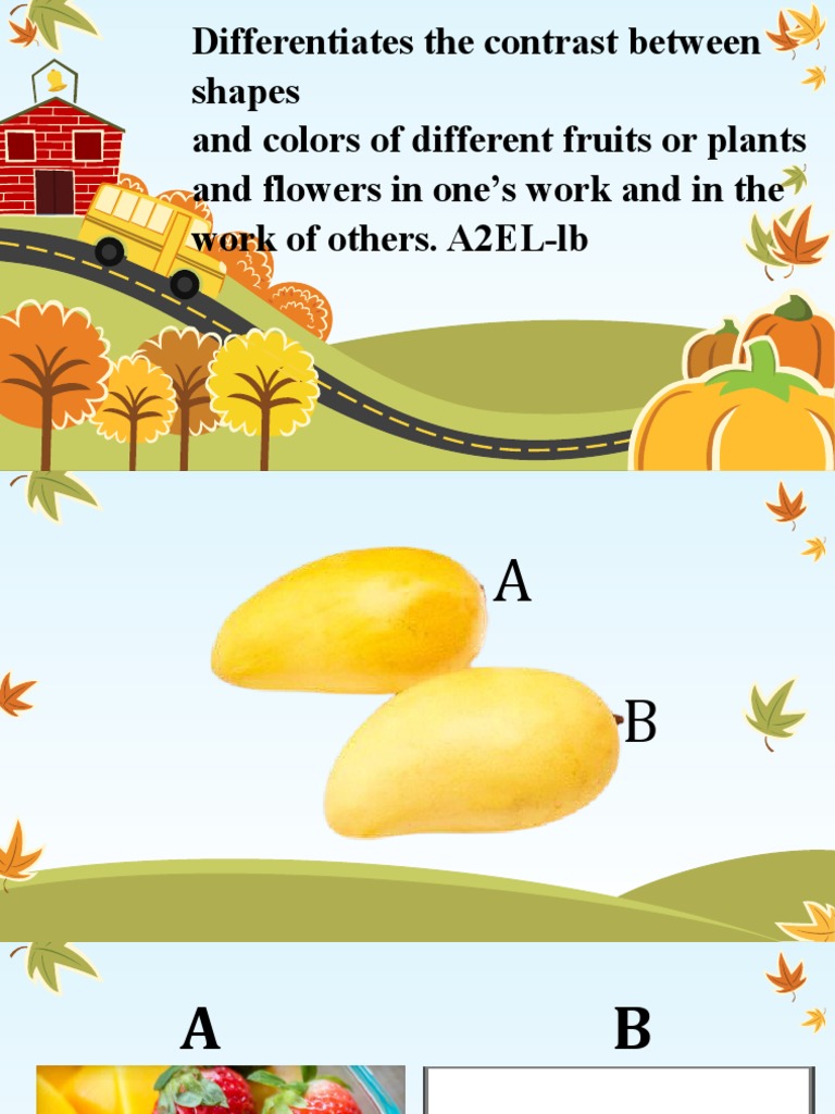 Differentiates The Contrast Between Shapes | PDF