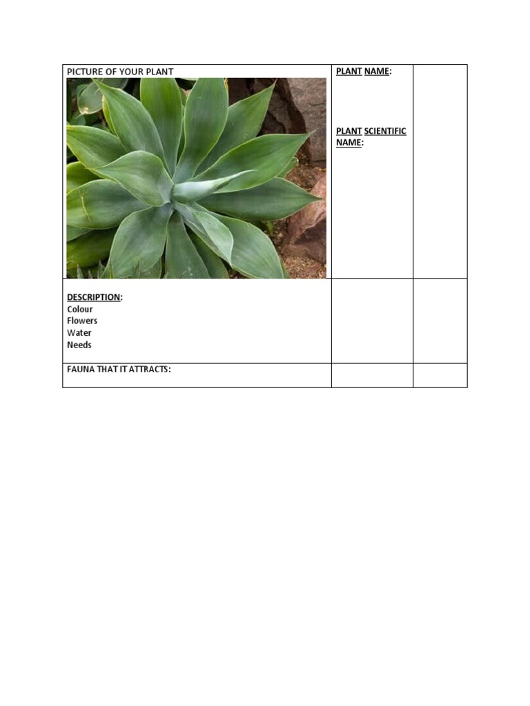 Picture of Your Plant | PDF
