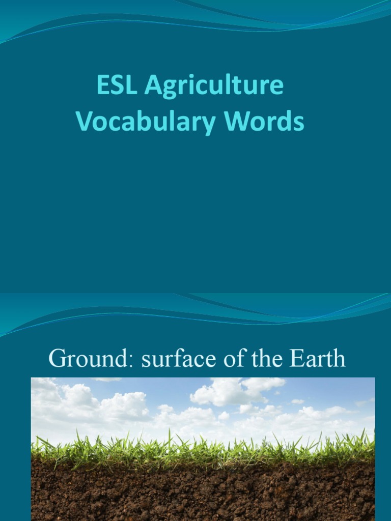 ESL Agriculture Vocabulary Words | PDF | Farms | Plough