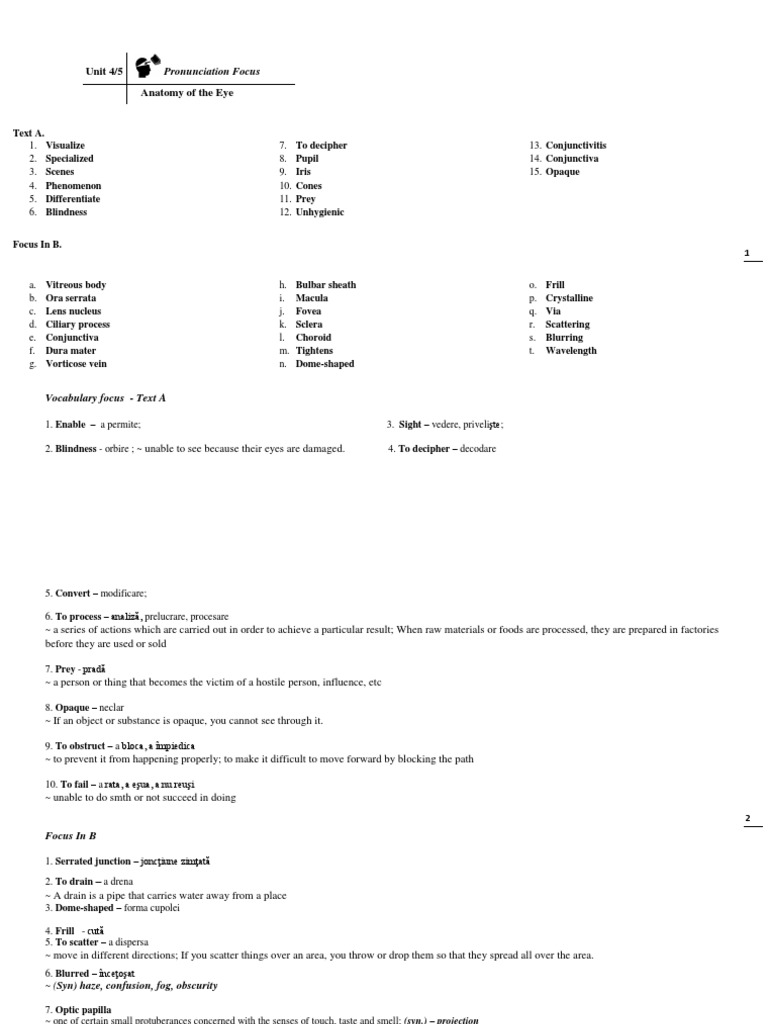 Unit 4/5 Pronunciation Focus Anatomy of The Eye | PDF | Eye | Retina