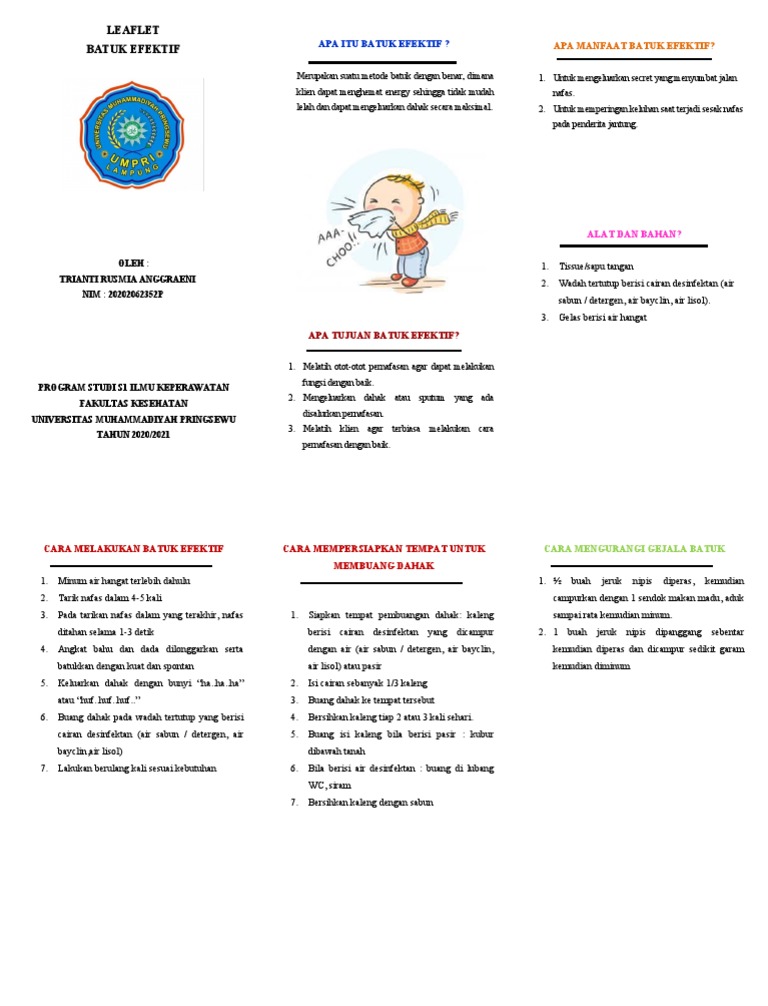 lEAFLET BATUK EFEKTIF FIXX | PDF