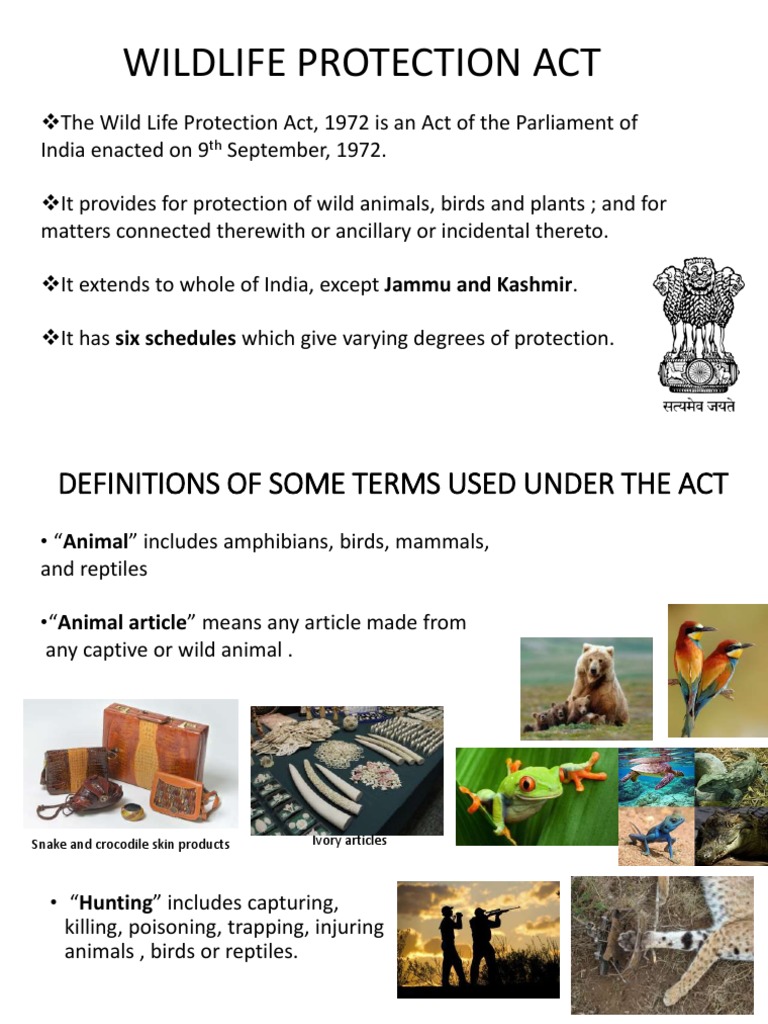 Wildlife Protection Act | PDF | Hunting | Justice