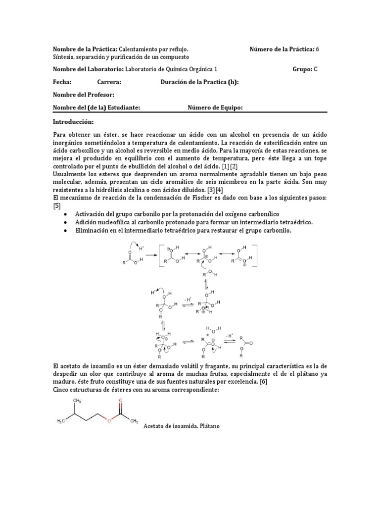 Esterificacion Pdf Ester Química Orgánica