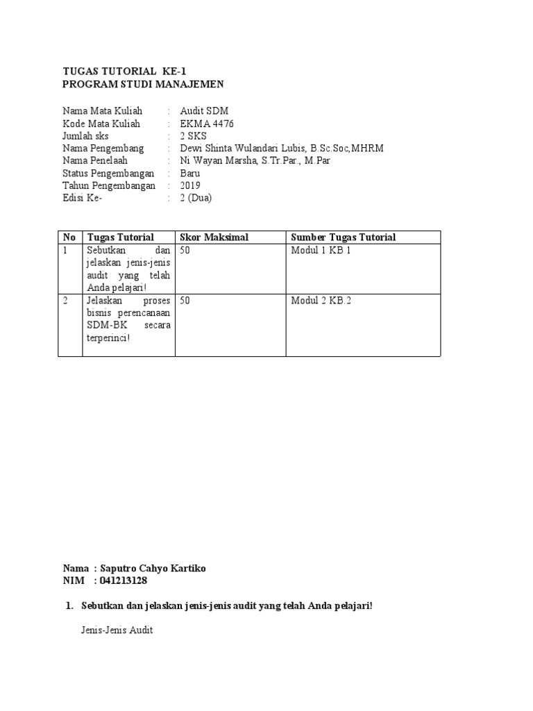 Audit SDM Tugas 1 | PDF