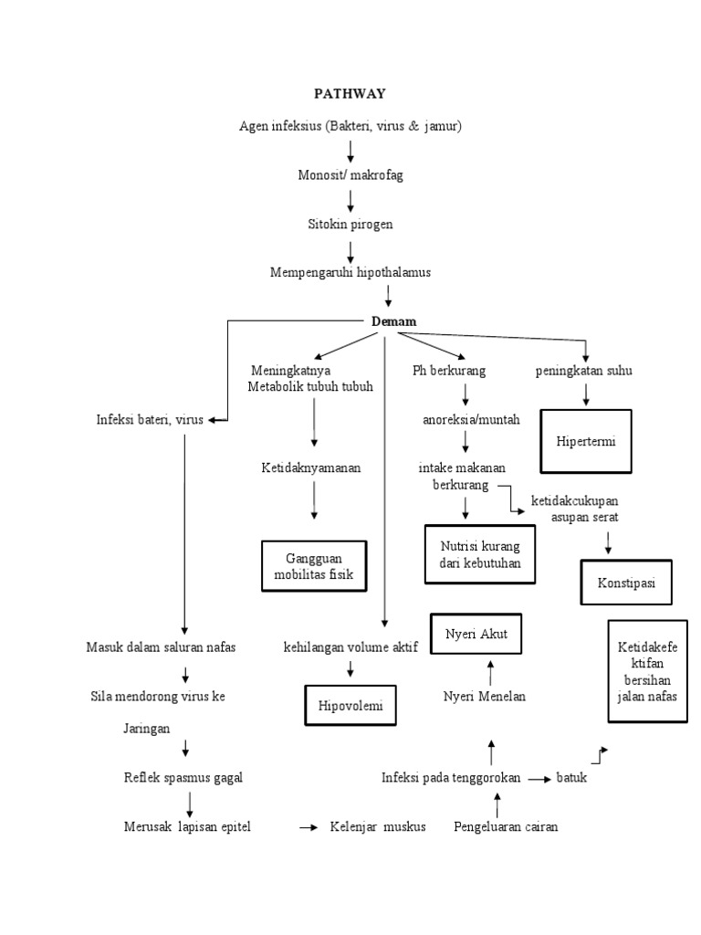 Pathway Infeksi, Demam, Nyeri | PDF