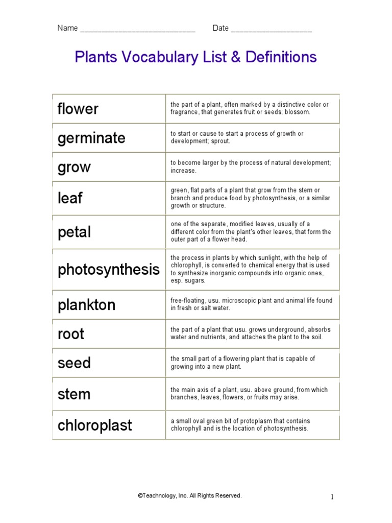 Plants Vocabulary List & Definitions | Download Free PDF | Plants | Leaf