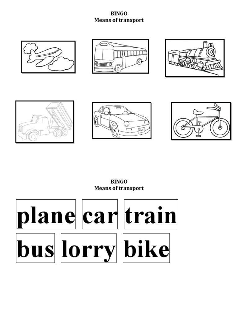 Bingo Transport | PDF