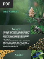 Kafshet Shtepiake | PDF