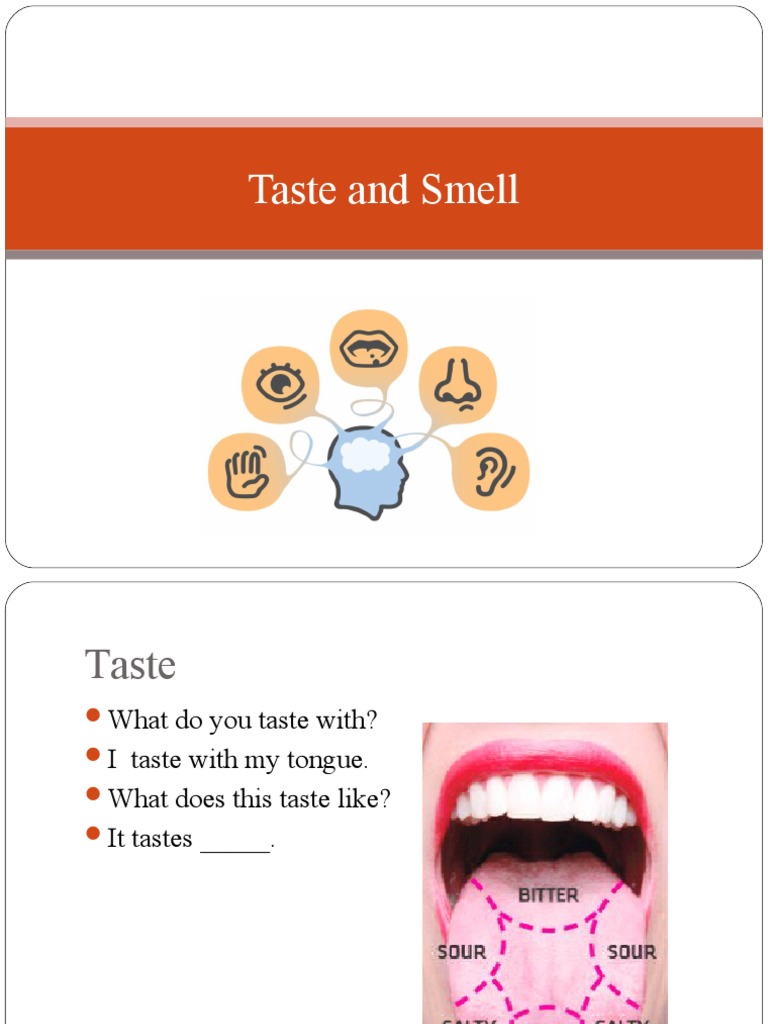 Taste and Smell: Descriptive Guide | PDF