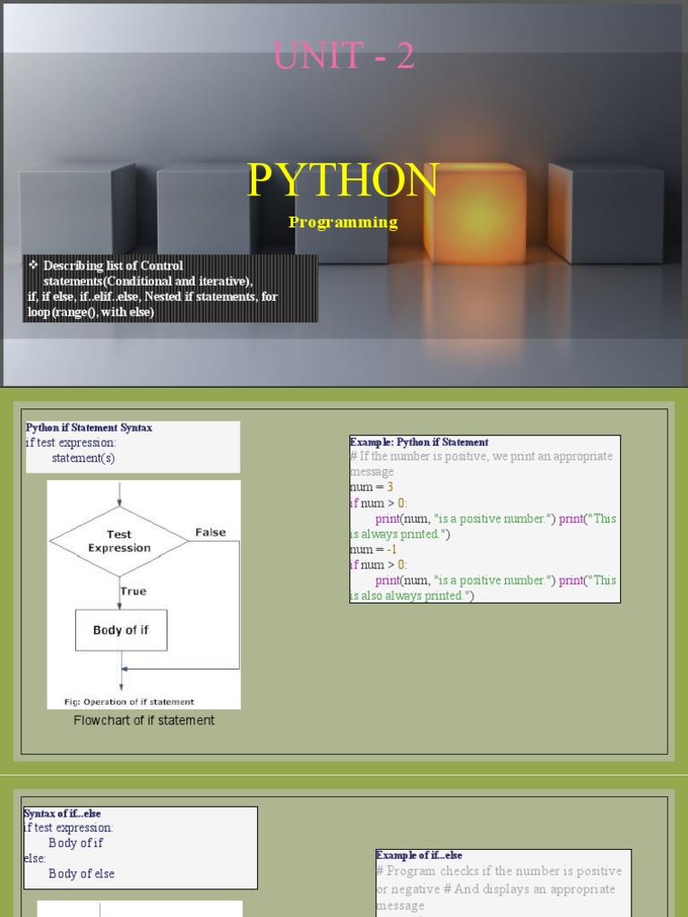 Python | PDF | Control Flow | Software Development