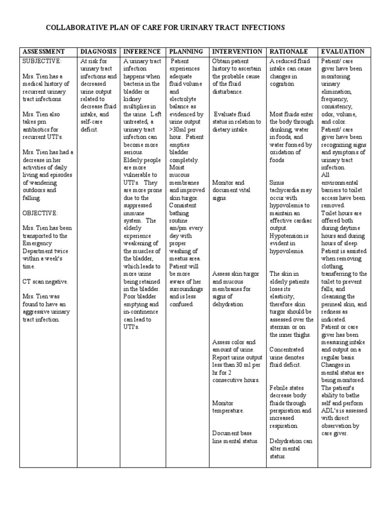 Collaborative Plan of Care For Urinary Tract Infections | PDF | Urinary ...