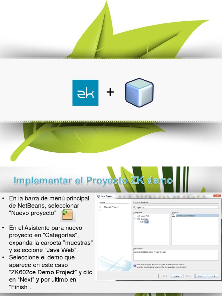 Tema 2 - Implementar El Demo ZK PDF | PDF
