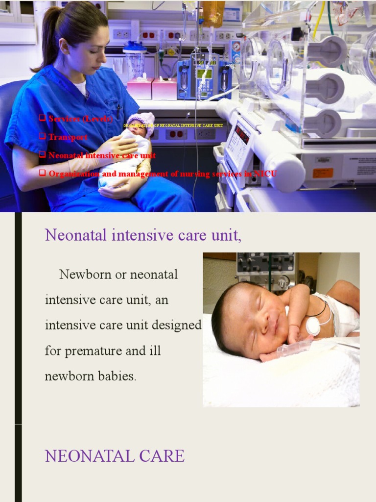 Organization of Neonatal Care Services | Download Free PDF | Neonatal ...