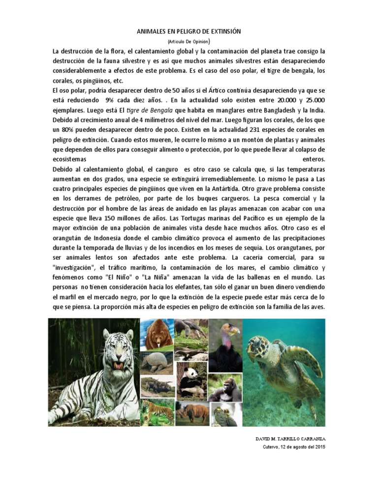 Animales en Peligro de Extinsion Articulo de Opinion | PDF | Mar ...