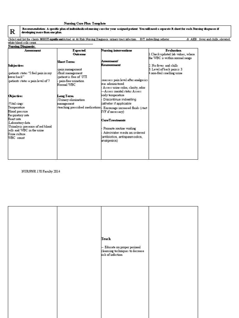 Urinary Infection Care Plan | PDF | Urinary Tract Infection | Health Care