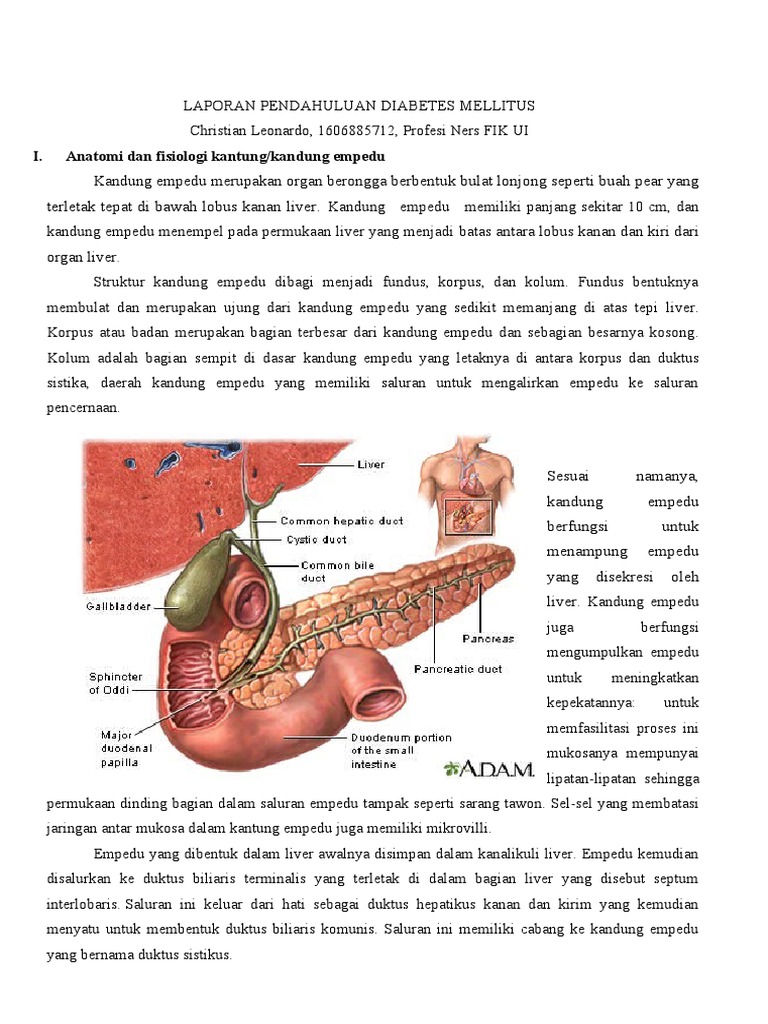 LP Kolelitiasis & Koledokolitiasis | PDF