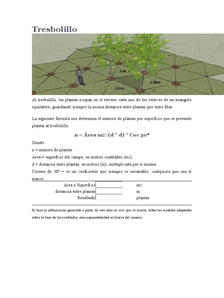 3 Tresbolillo Varias Imagenes | PDF