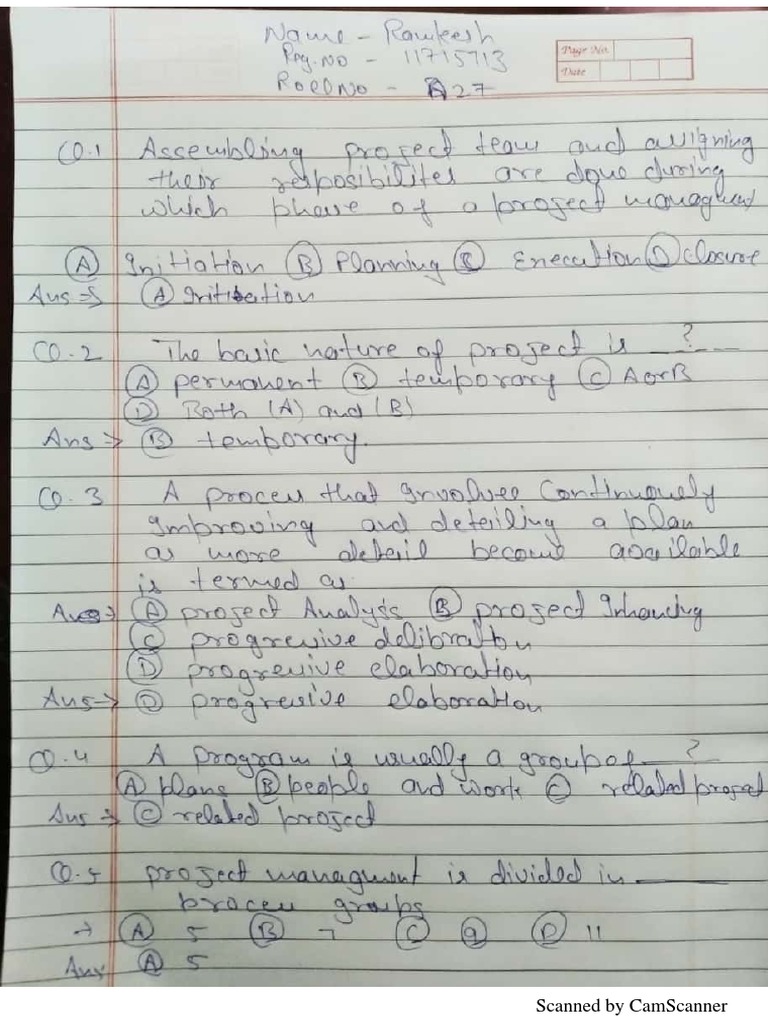Project Management MCQ | PDF