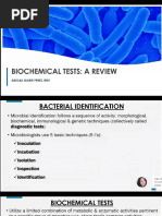 Enterobacteriaceae Biochemical Test | PDF | Bacteria | Organisms