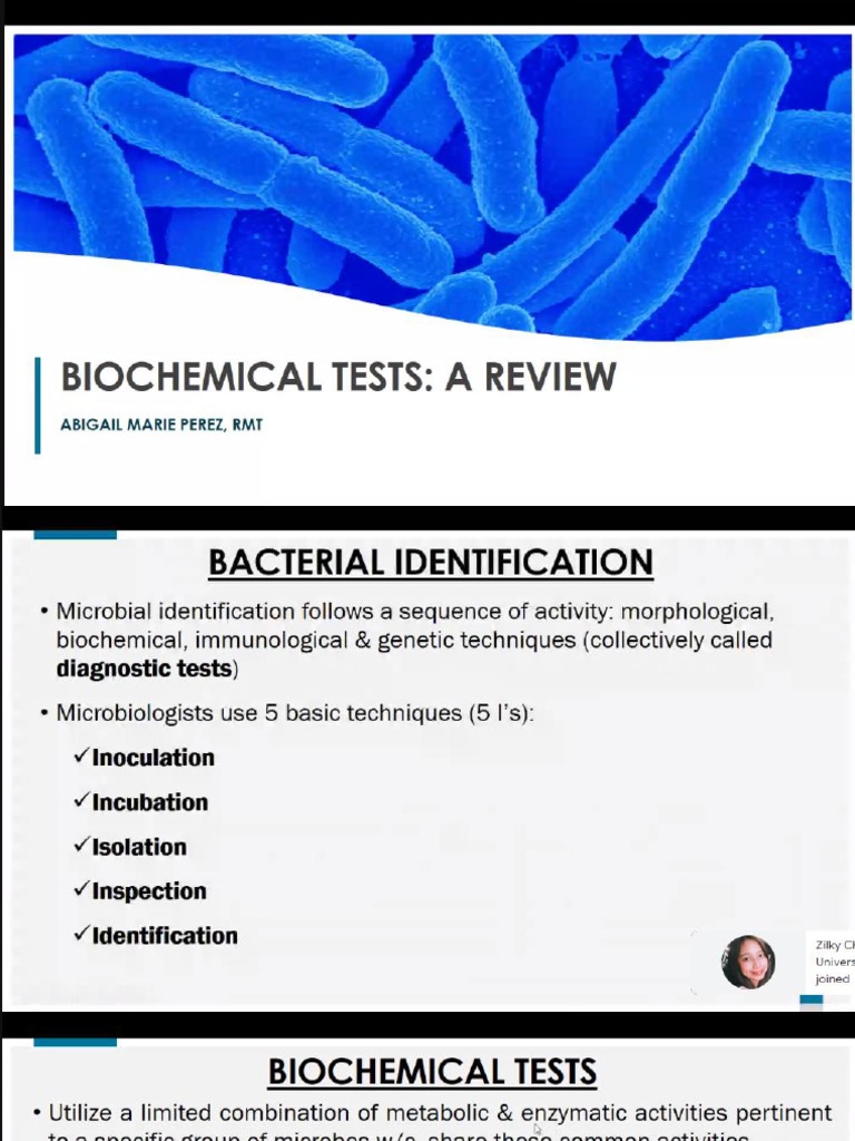 Biochemical Testing | PDF