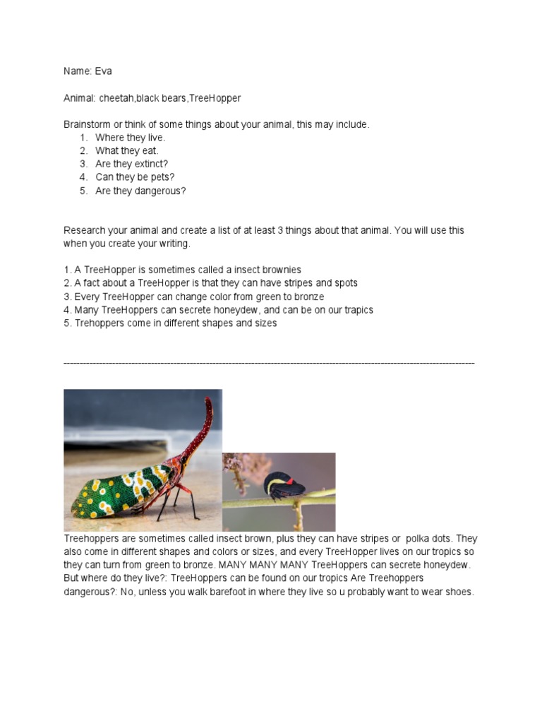 Eva Perdomo Francisco - Brainstorming - Animals | PDF