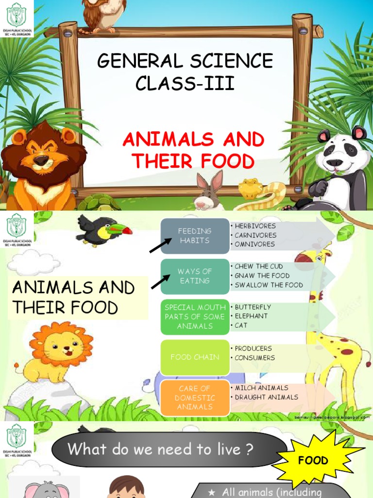 General Science Class-Iii: Animals and Their Food | PDF | Herbivore | Tooth