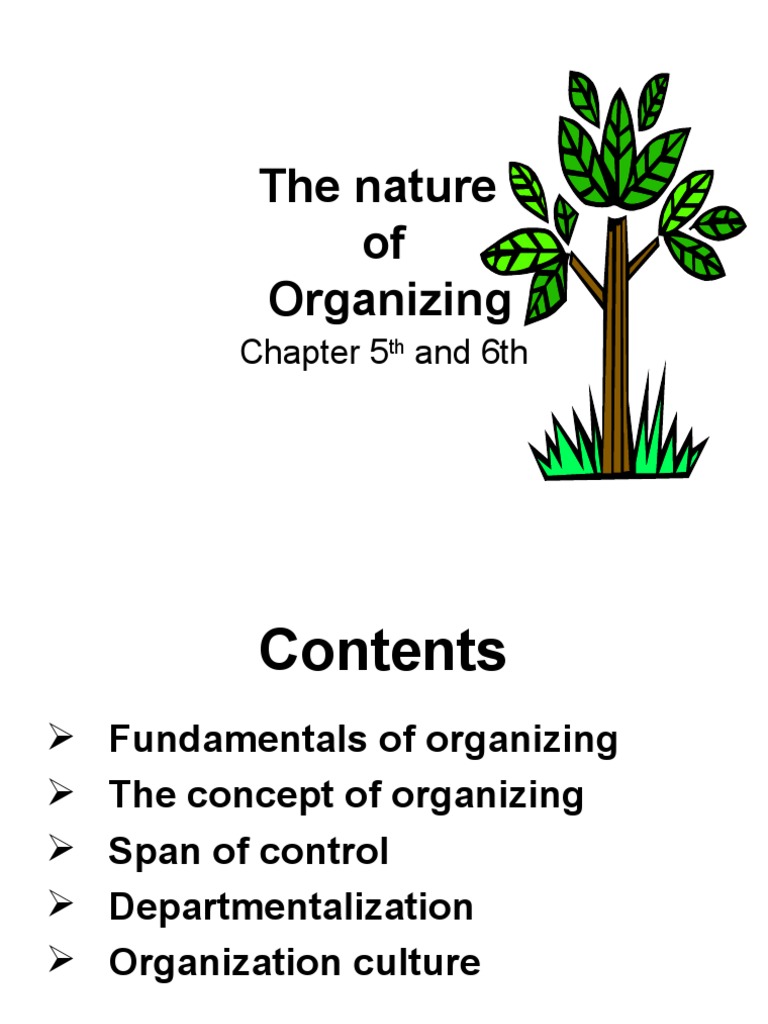 The Nature of Organizing: and 6th | PDF | Business | Leadership