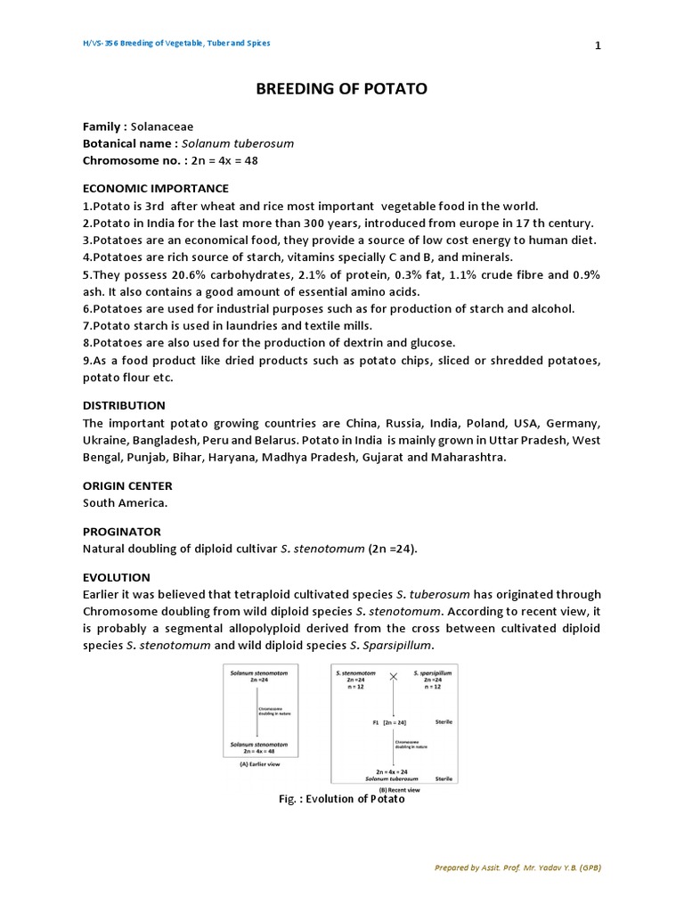 Breeding of Potato | PDF | Potato | Ploidy