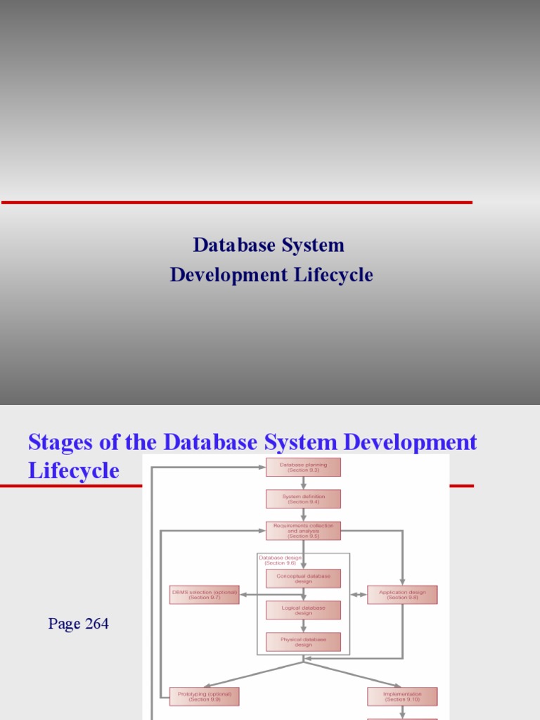 Database System Development Lifecycle | PDF | Database Design | Databases