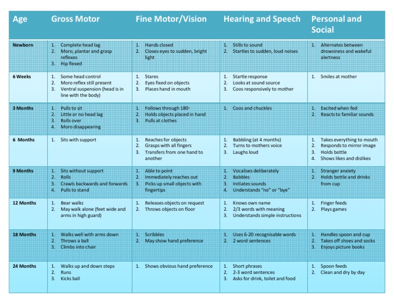 Developmental Milestones | PDF