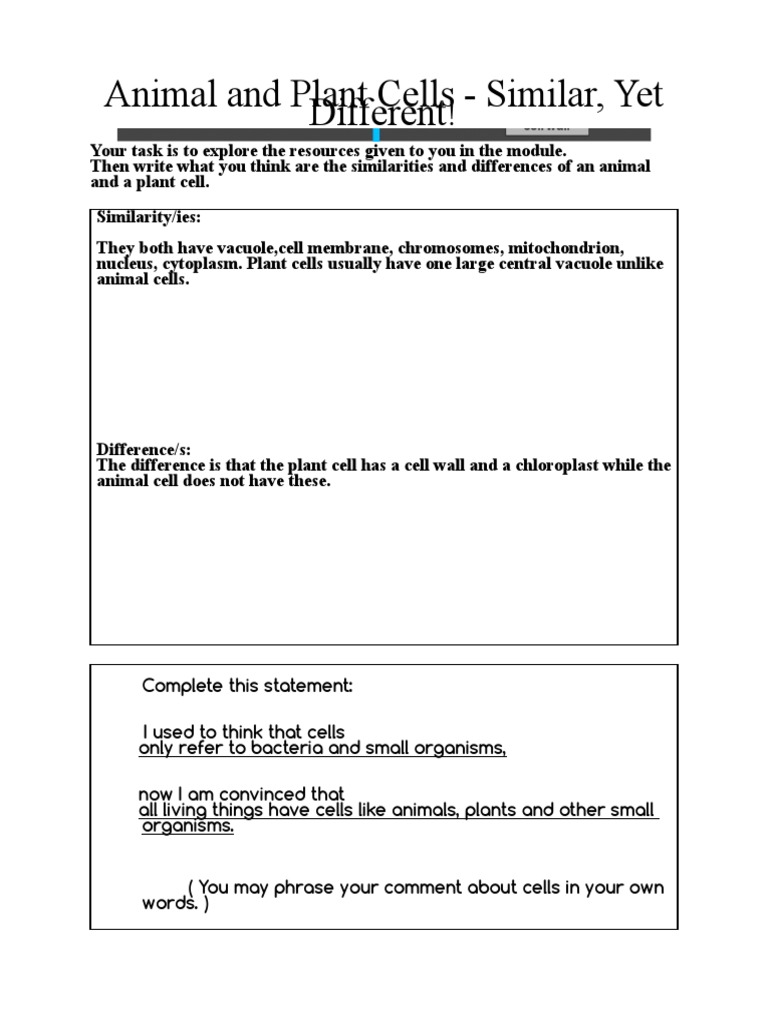 Animal and Plant Cells - Similar, Yet Different! | PDF