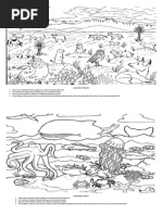 Los Ecosistemas para Colorear | PDF