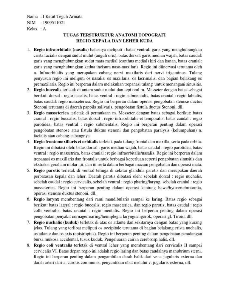 Tugas Terstruktur Anatomi Topografi Regio Kepala Dan Leher | PDF