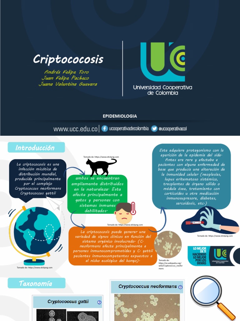 Criptococosis | PDF | VIH / SIDA | Meningitis