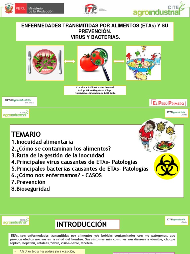 Enfermedades Transmitidas Por Alimentos (Etas) Y Su Prevención. Virus Y ...